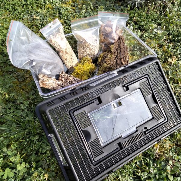 Matériel - Isopode FR