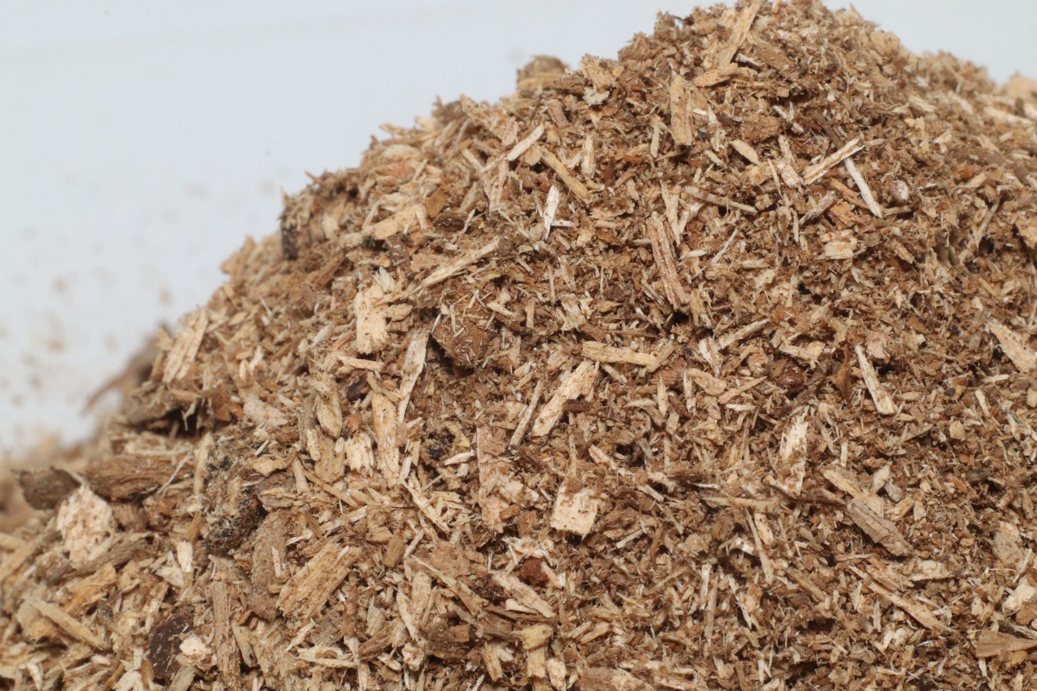 Substrat - Isopode FR